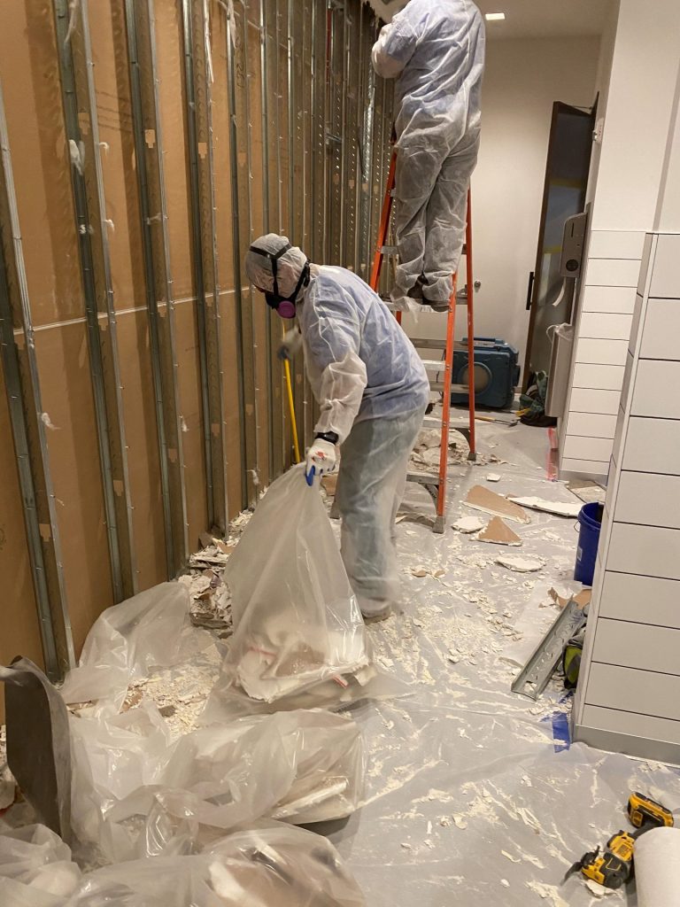 Residential Mold Remediation Company Near Me | Black Mold Removal and ...