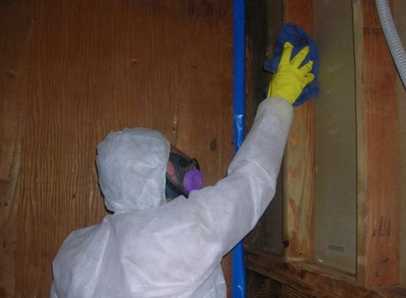 Residential Mold Remediation Company Near Me | Black Mold Removal and ...