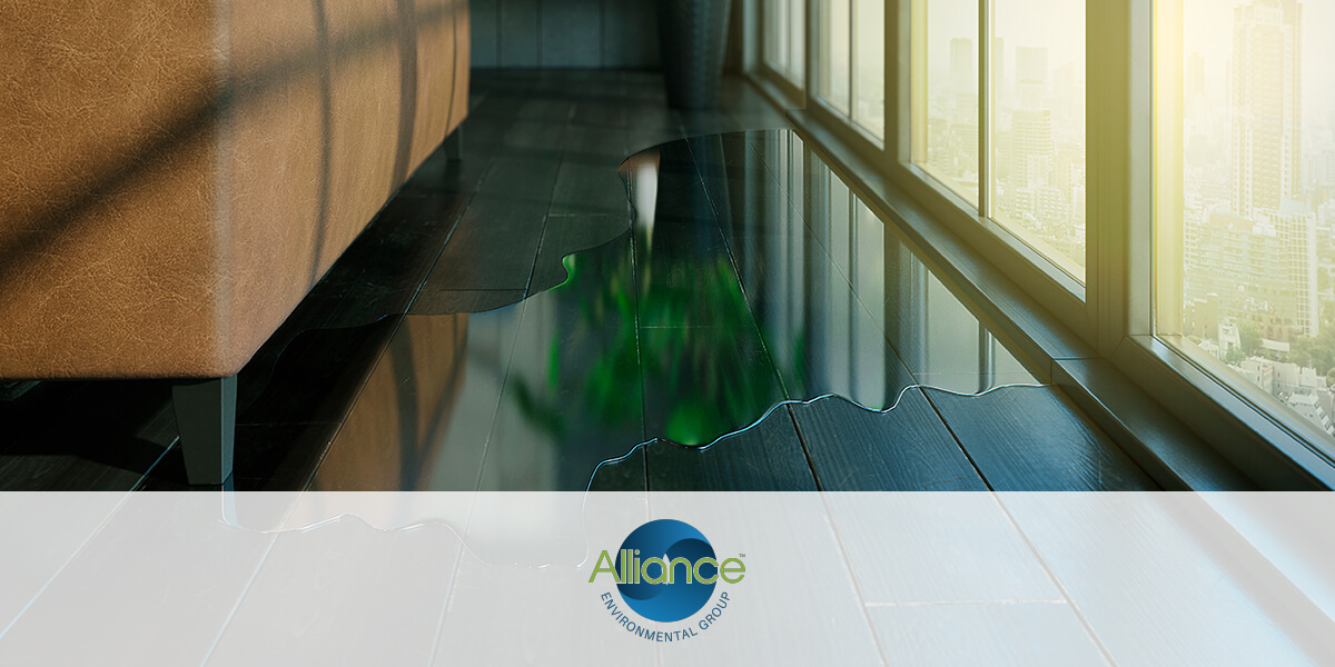 Water Damage Information for Property Owners & Managers