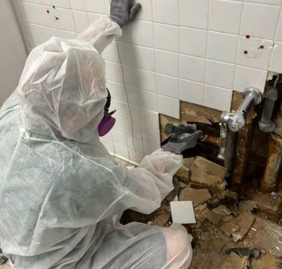 Residential Mold Remediation Company Near Me | Black Mold Removal ...